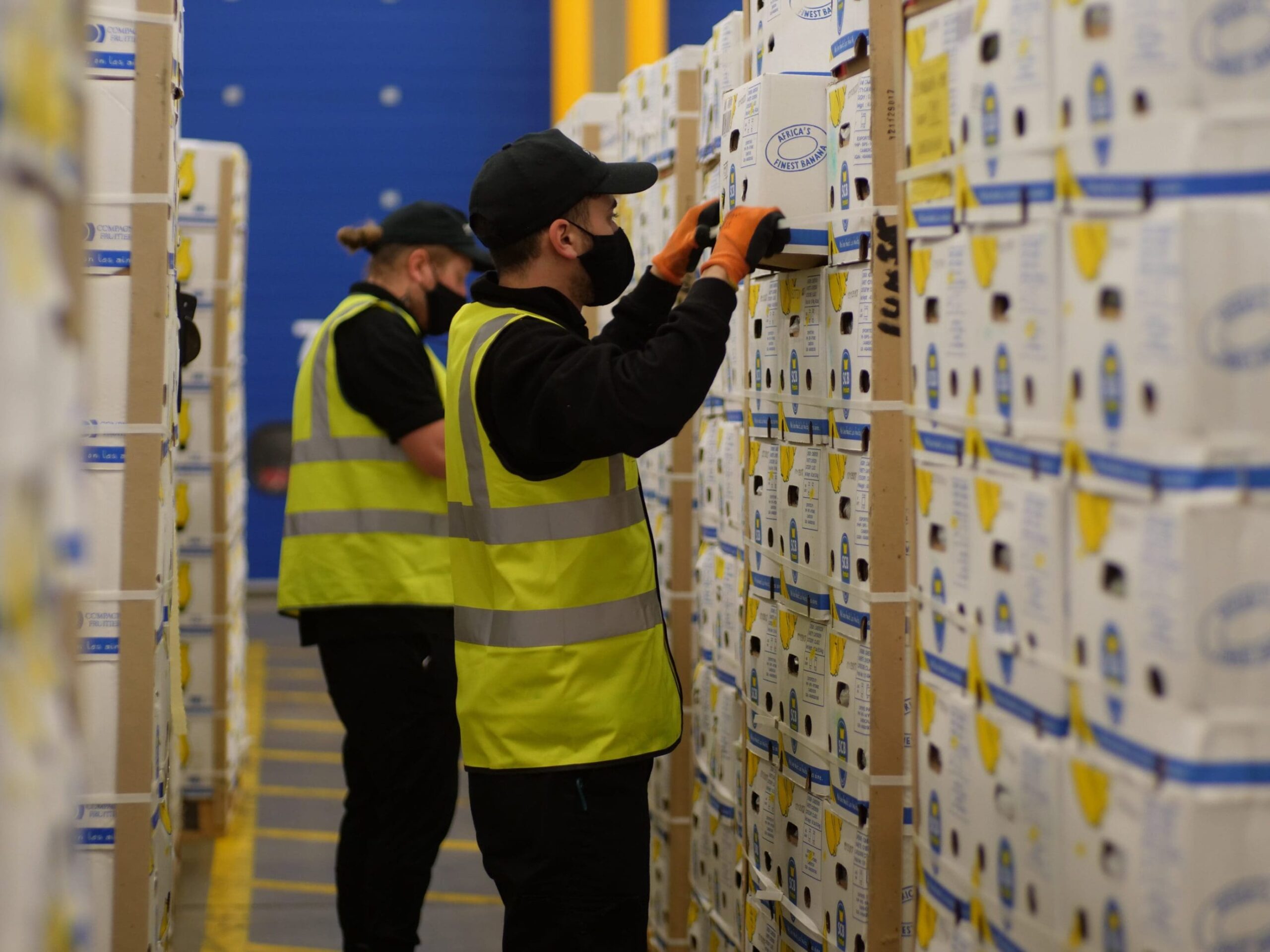 Ideal conditions for the launch of new operation