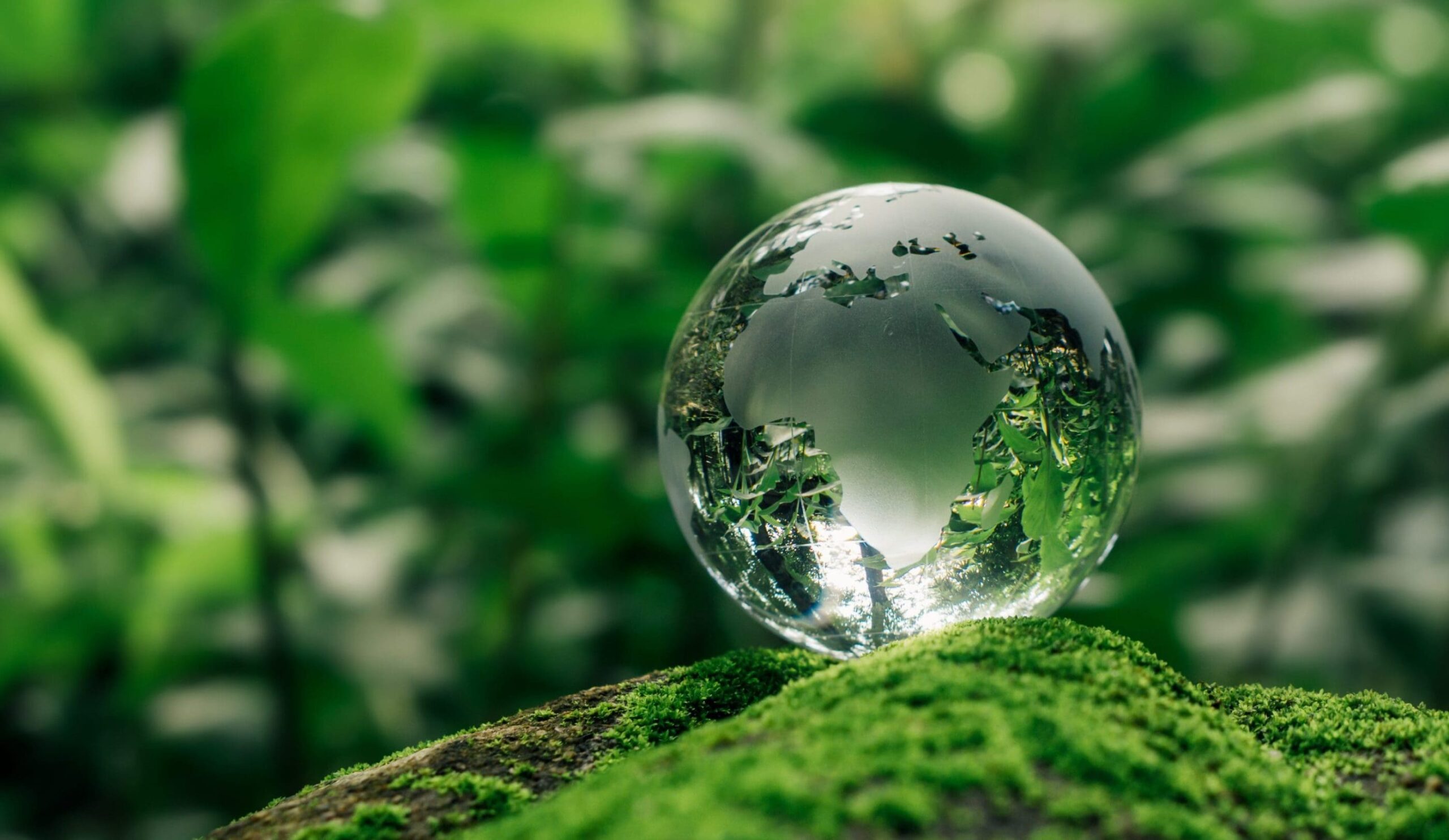 Being green means gaining a competitive advantage | All Things Business