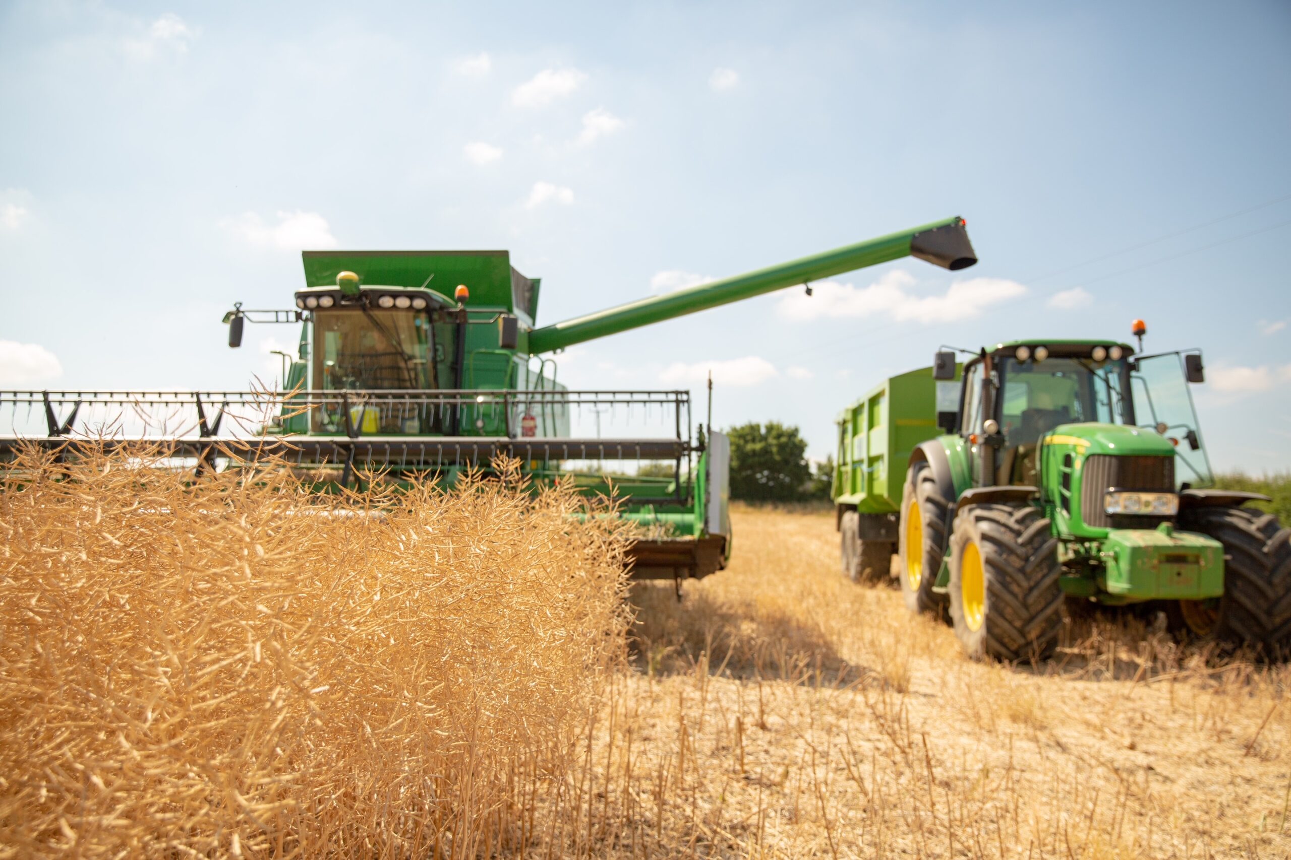 Rural Businesses will be Helped With Long-Established Roots